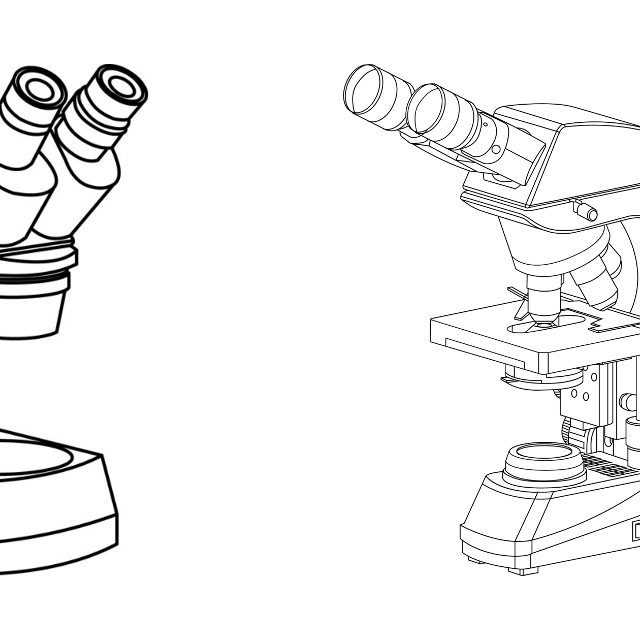 Unlabeled Compound Microscope
